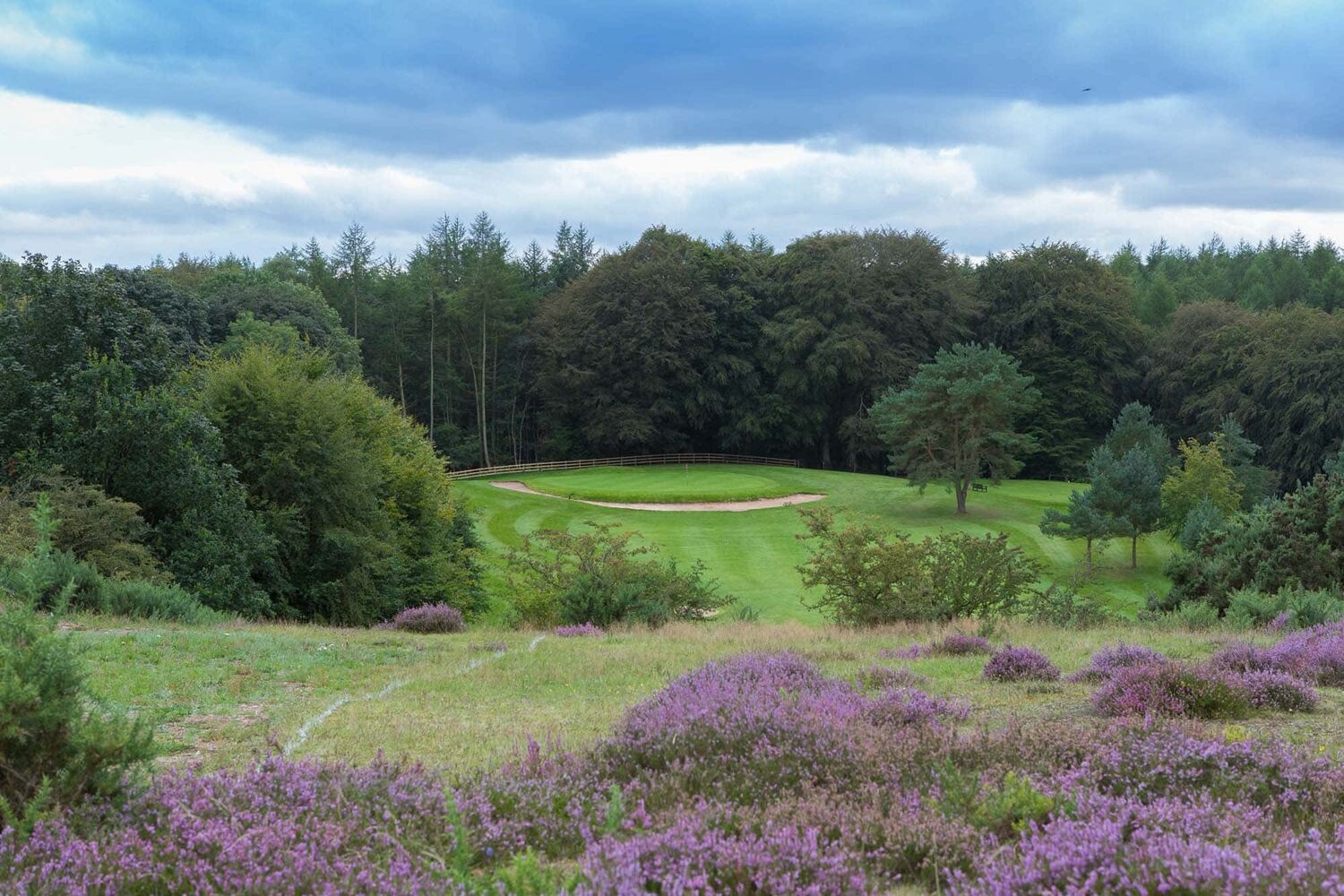 Home [brampton.intelligentgolf.co.uk]